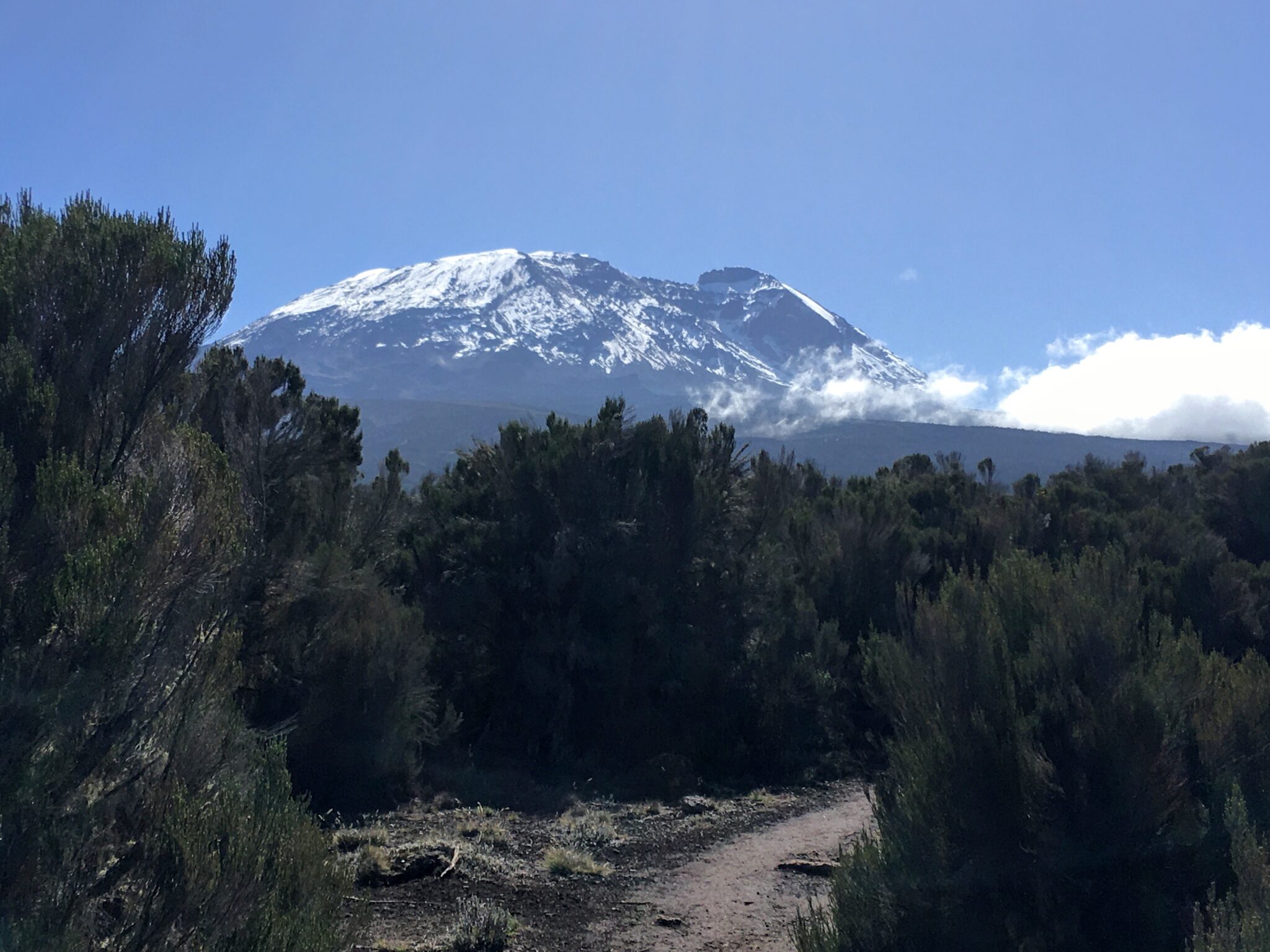 Shira Route - Diamond Glacier Adventures